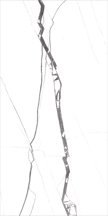 SPIDER MARBLE – Rudraksha Ceramic